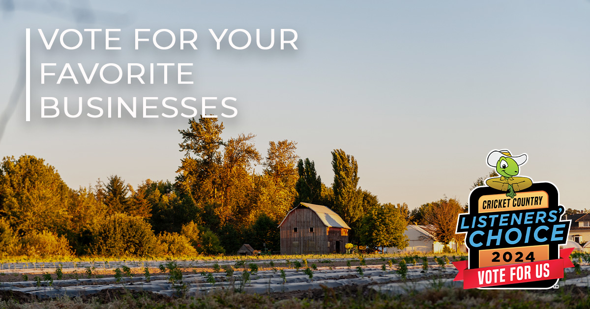 Vote For Your Favorite Business! - Cricket Country Listeners Choice